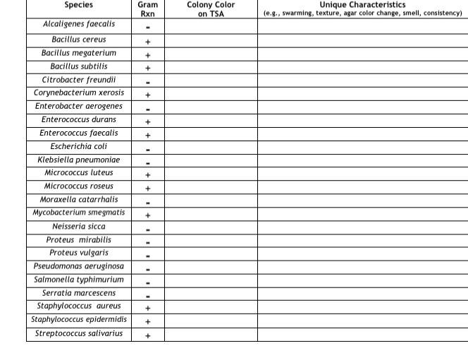 Solved please help, thank you so much | Chegg.com