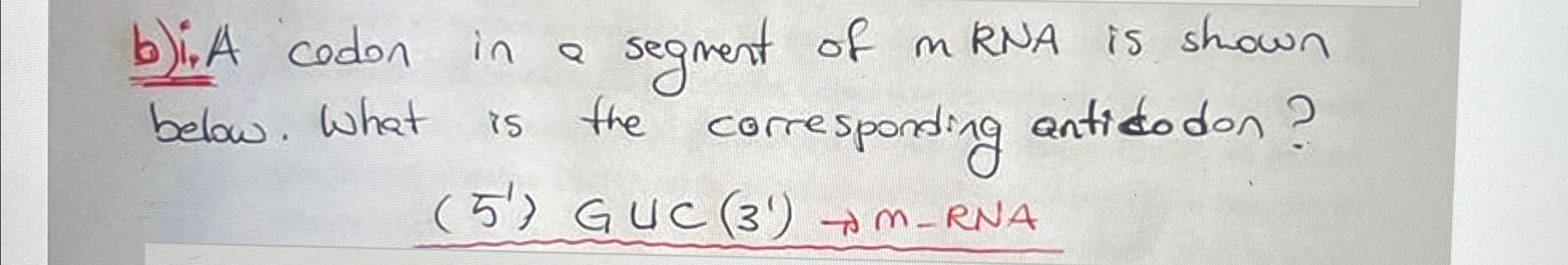 Solved b)i.A codon in a segment of m ﻿RNA is shown below. | Chegg.com