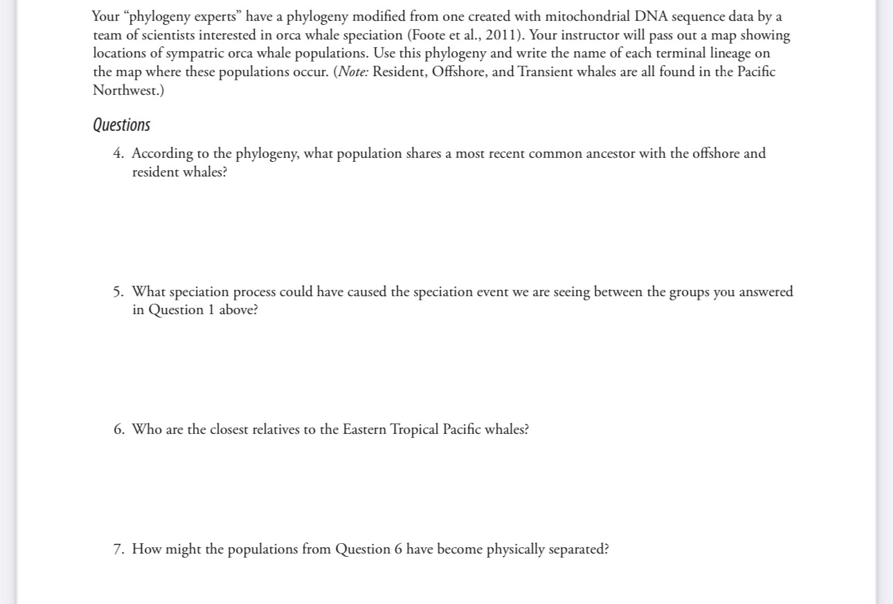 Solved Your "phylogeny experts" have a phylogeny modified | Chegg.com