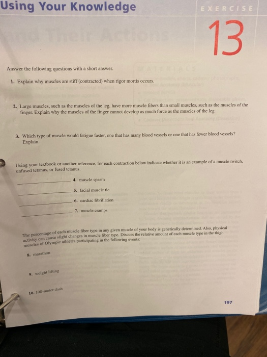 Solved Using Your Knowledge EXERCISE 13 Their Actions Answer | Chegg.com