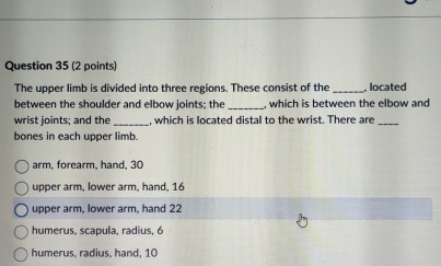 Solved Question 35 (2 ﻿points)The upper limb is divided into | Chegg.com