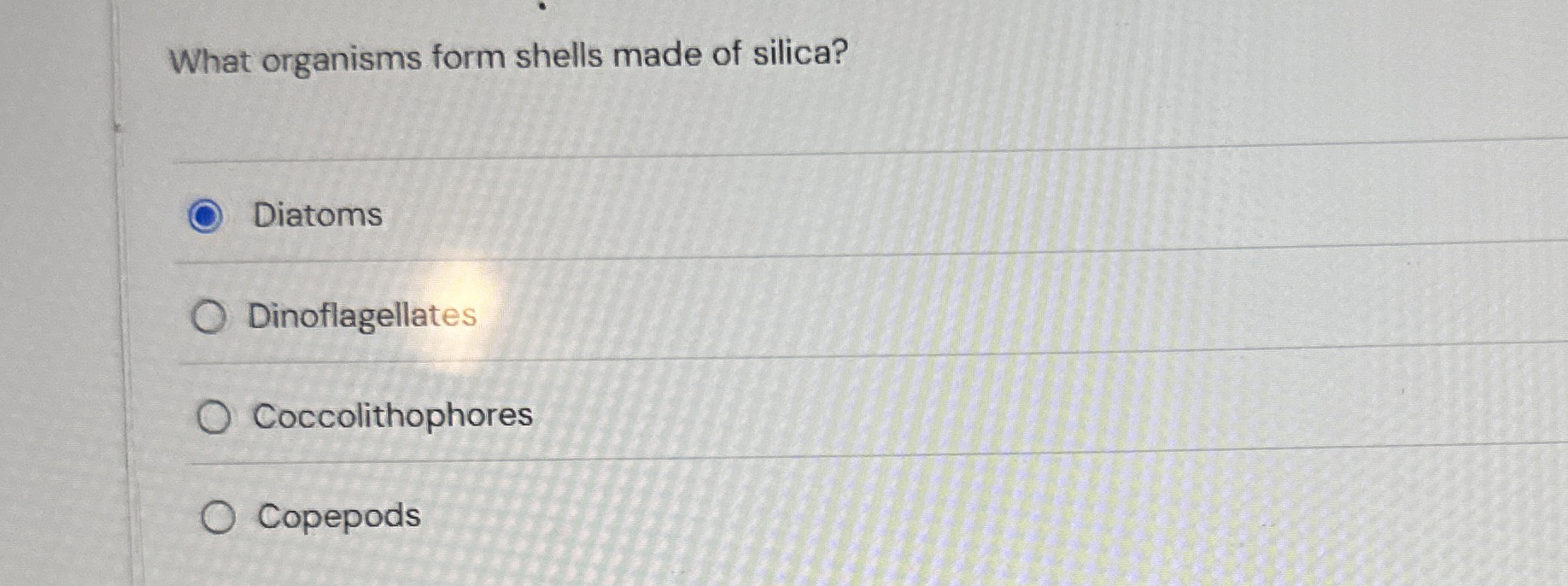 Solved What organisms form shells made of | Chegg.com