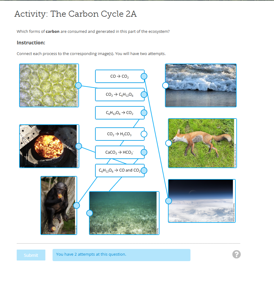 Solved Activity: The Carbon Cycle 2A Which forms of carbon | Chegg.com