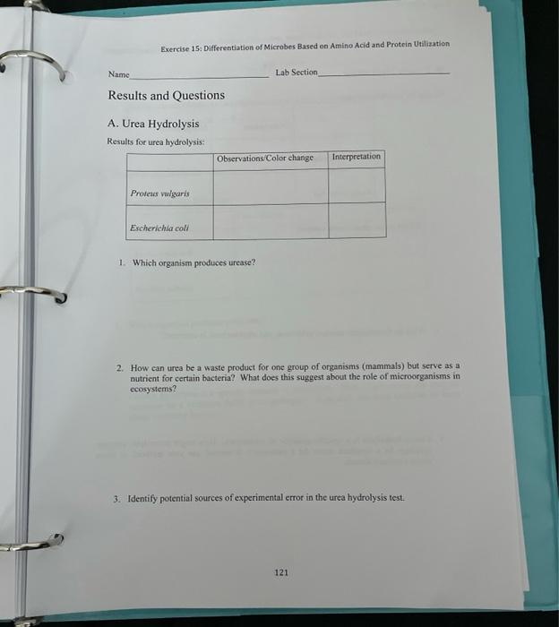Solved Exercise 15. Differentiation of Microbes Based on | Chegg.com