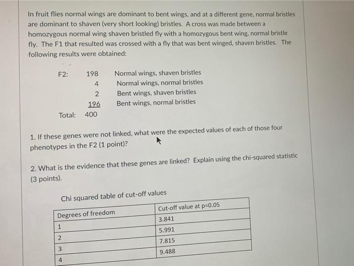 Solved In fruit flies normal wings are dominant to bent | Chegg.com