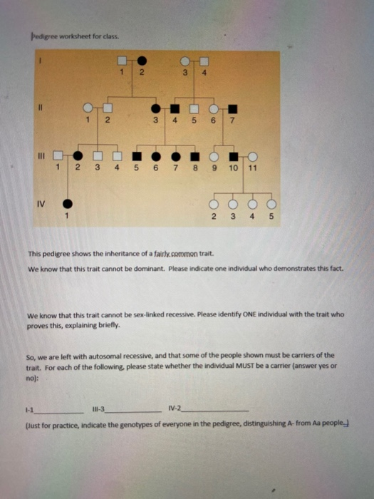 Solved pedigree worksheet for class. 1 2 3 4 O 1 2 3 4 5 6 7 | Chegg.com