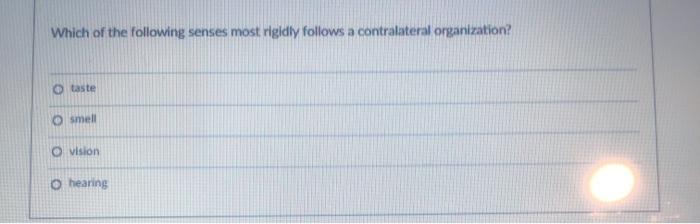 Solved Which of the following senses most rigidly follows a | Chegg.com