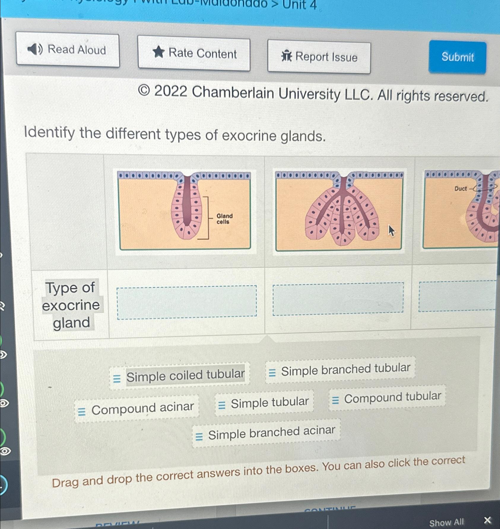 Solved C 2022 ﻿Chamberlain University LLC. ﻿All rights | Chegg.com