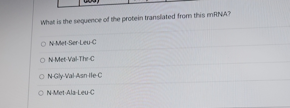 Solved What is the sequence of the protein translated from | Chegg.com