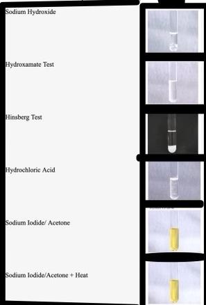 Solved Sodium Hydroxide Hydroxamate Test Hinsberg Test | Chegg.com