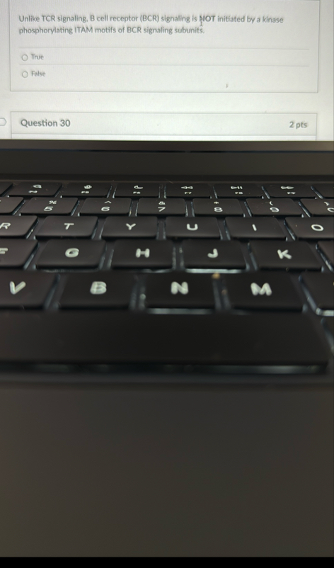 Solved Unlike TCR signaling. B cell receptor (BCR) | Chegg.com