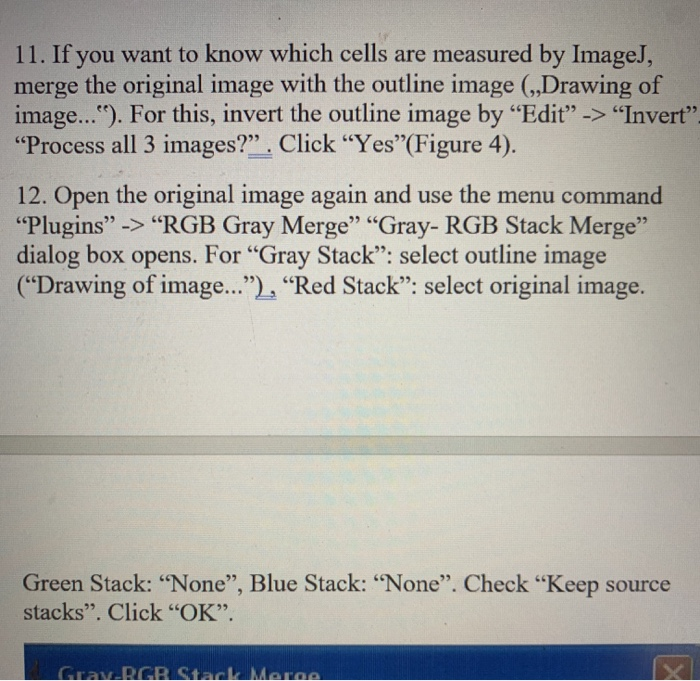 3. Open ImageJ. ImageJ is not set to any scale, so | Chegg.com