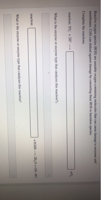 Solved Reactive oxygen species (ROS) are unstable | Chegg.com