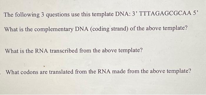 Solved The following 3 questions use this template DNA: 3 ' | Chegg.com
