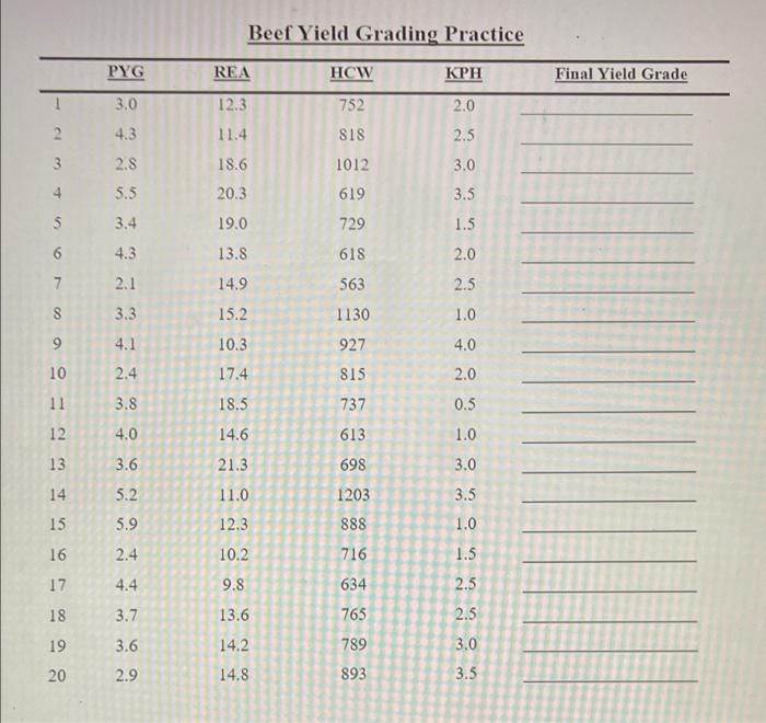 Solved Beef Yield Grading Practice PYG REA HCW KPH Final | Chegg.com