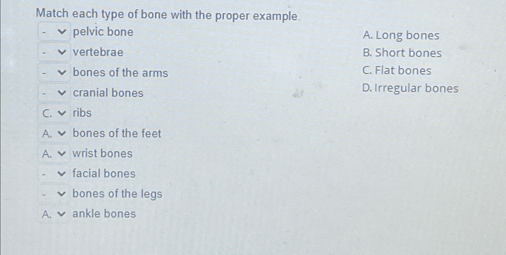 Solved Match each type of bone with the proper | Chegg.com