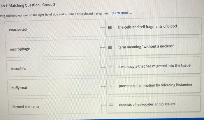 Solved Lab 1: Matching Question - Group 2 Drag and drop | Chegg.com
