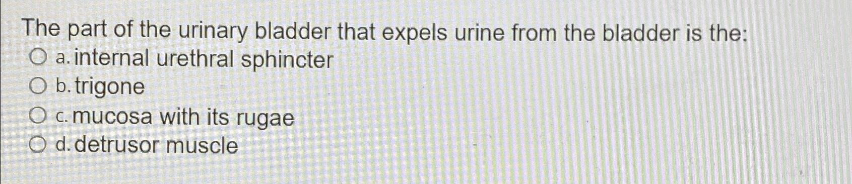 Solved The part of the urinary bladder that expels urine | Chegg.com