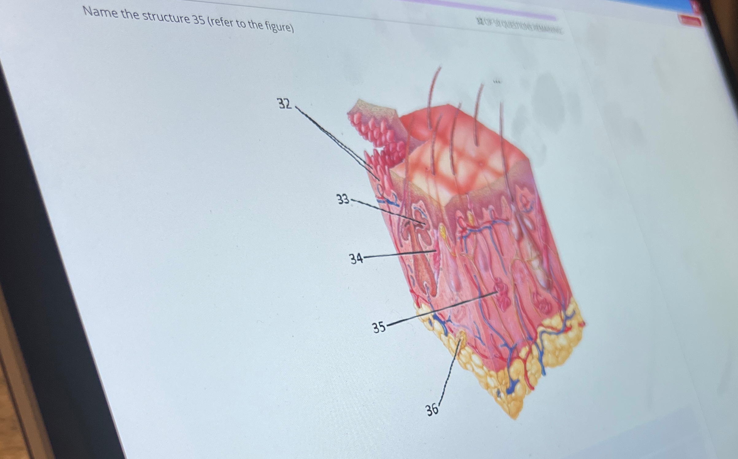 Solved Name the structure 35 (refer to the figure)3. | Chegg.com