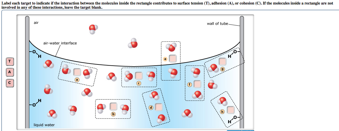 Solved Label each target to indicate if the interaction | Chegg.com