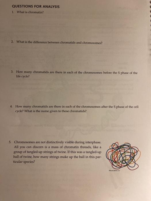 Solved QUESTIONS FOR ANALYSIS 1. What is chromatin? 2. What | Chegg.com