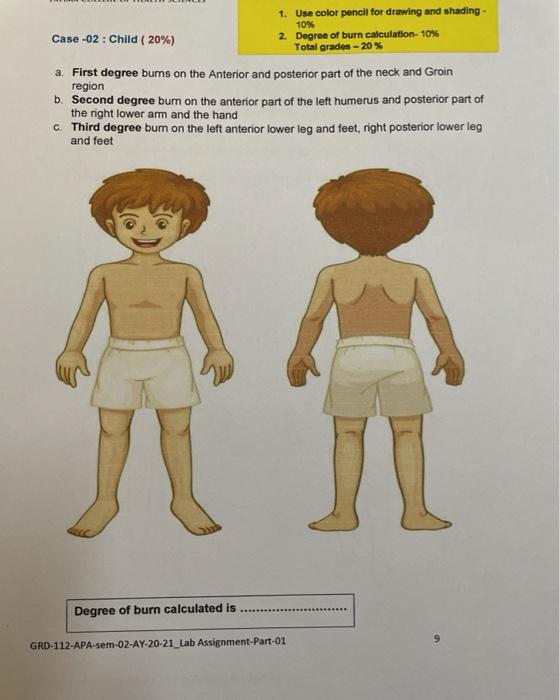 Solved 1. Use color pencil for drawing and shading - 10% 2. | Chegg.com