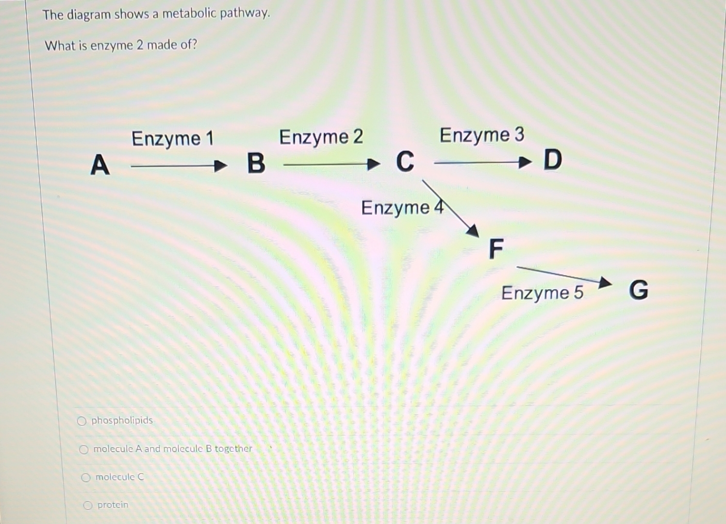 Solved The diagram shows a metabolic pathway.What is enzyme | Chegg.com