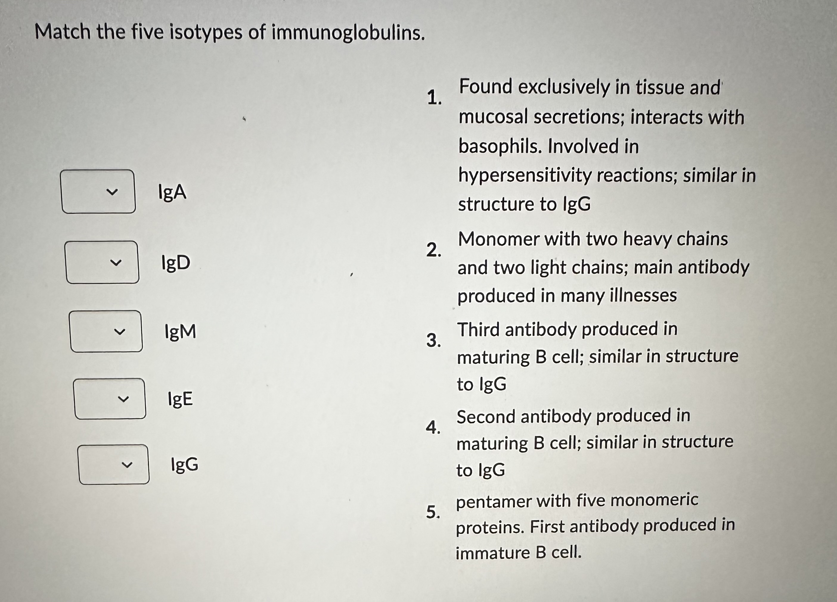 Solved Match the five isotypes of immunoglobulins.Found | Chegg.com