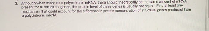 Solved 2. Although when made as a polycistronic mRNA, there | Chegg.com