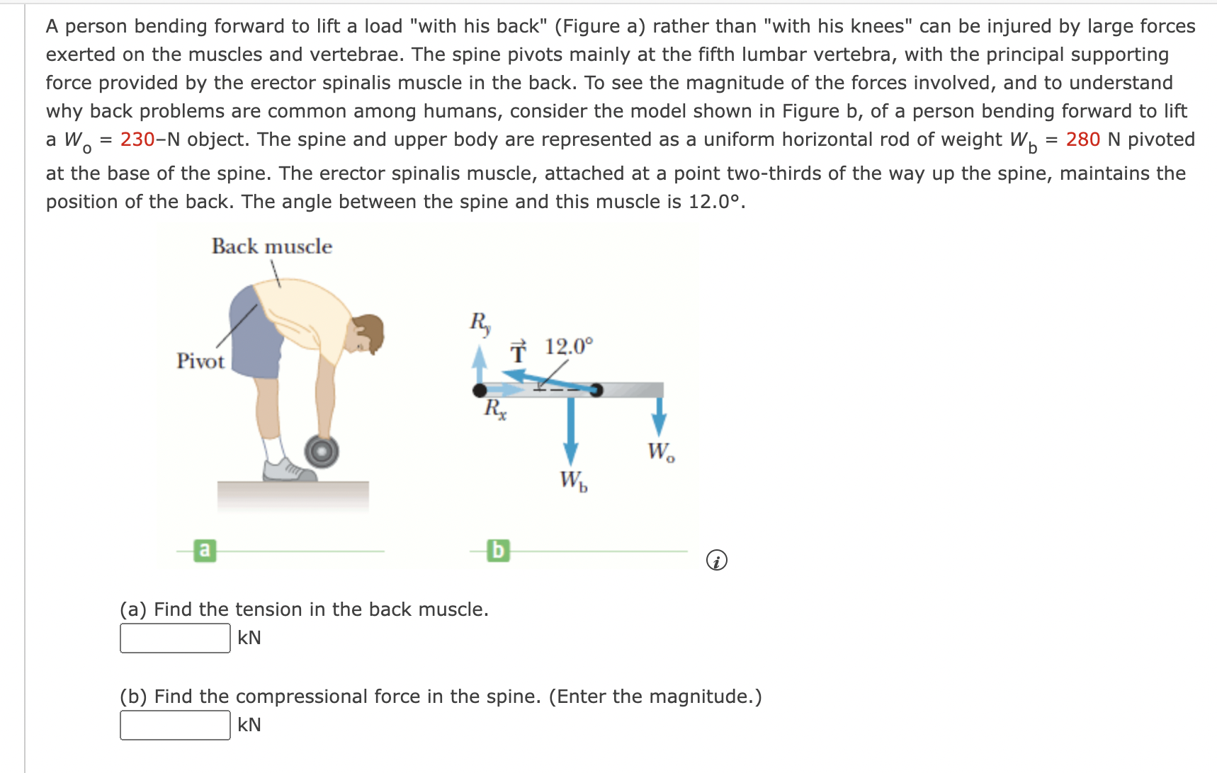 Solved A person bending forward to lift a load "with his | Chegg.com