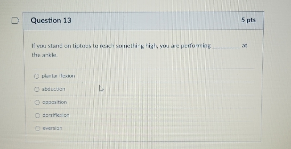 Solved Question 135 ﻿ptsIf you stand on tiptoes to reach | Chegg.com