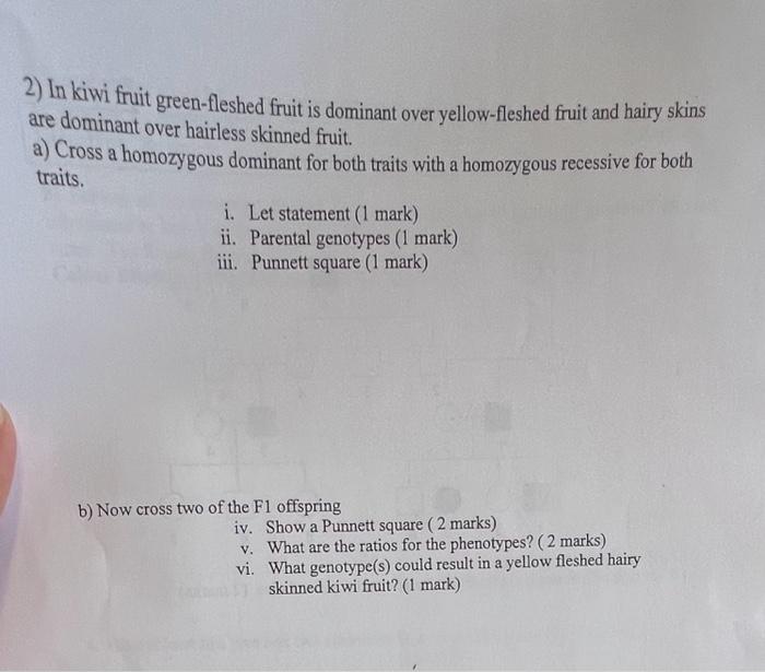 Solved 2) In kiwi fruit green-fleshed fruit is dominant over | Chegg.com