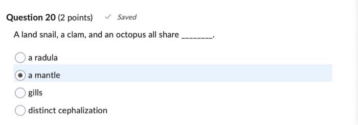 Solved A land snail, a clam, and an octopus all share a | Chegg.com