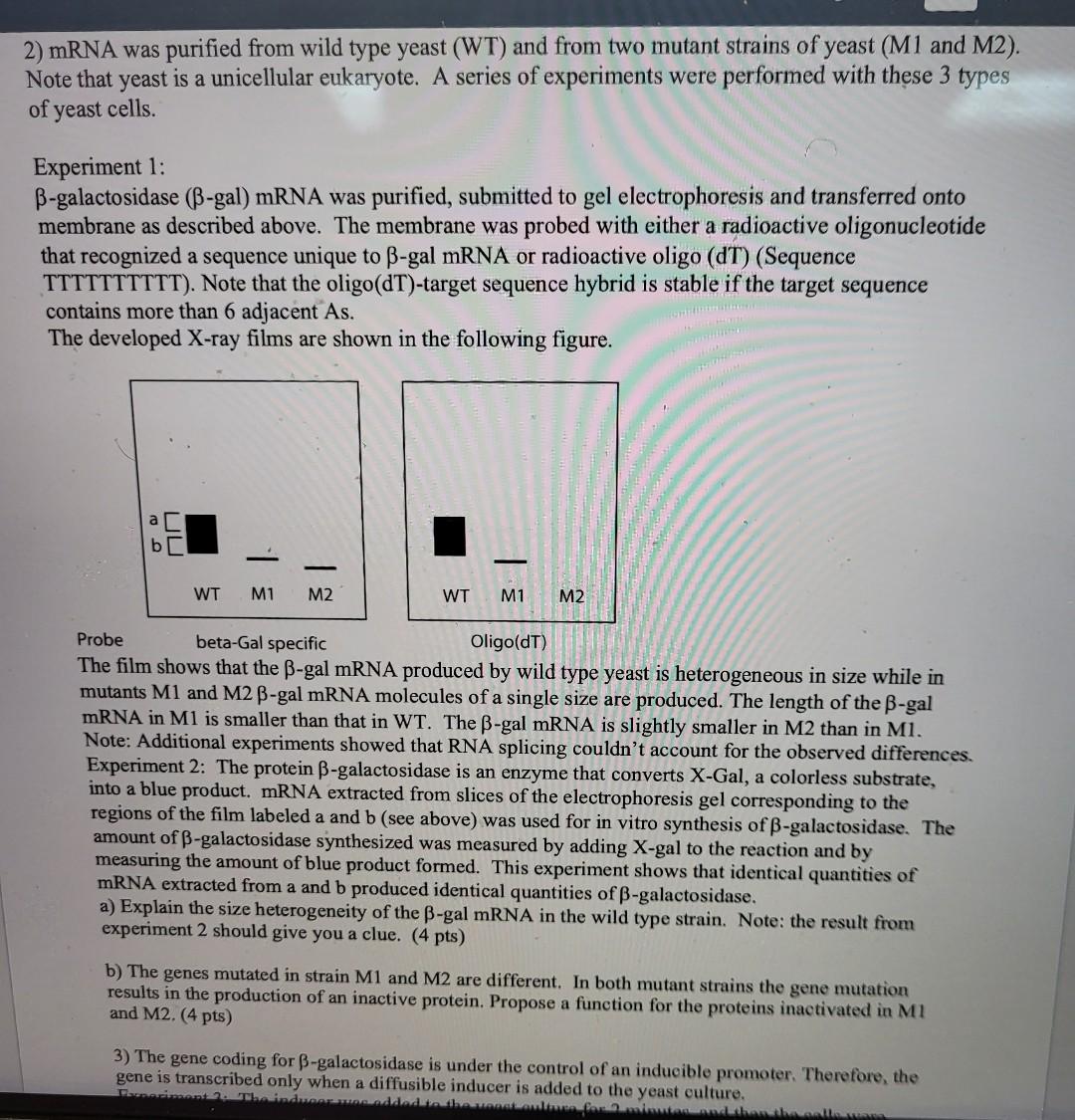 Solved The following diagram represents the organization of | Chegg.com