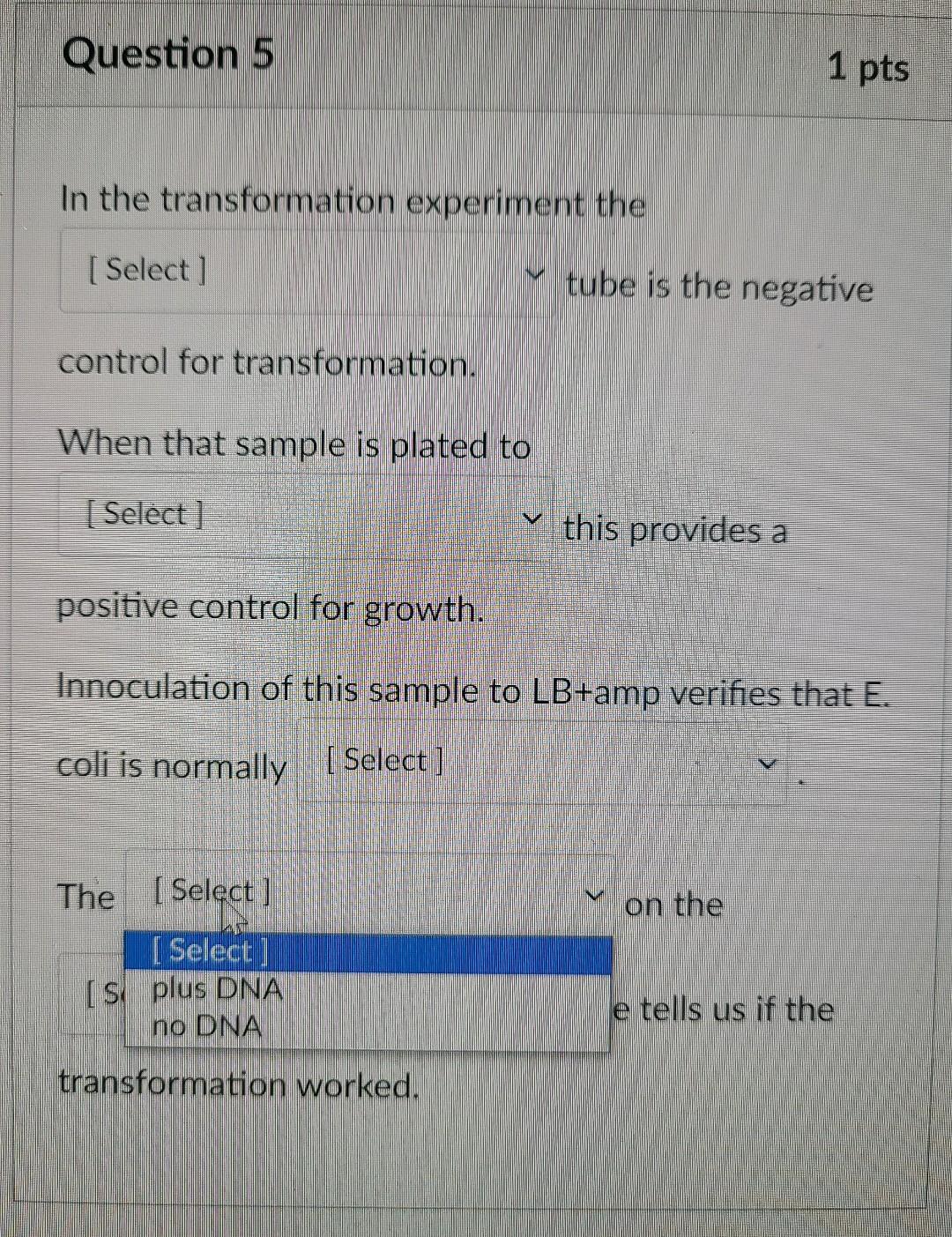 Solved Question 5 1 pts In the transformation experiment the | Chegg.com