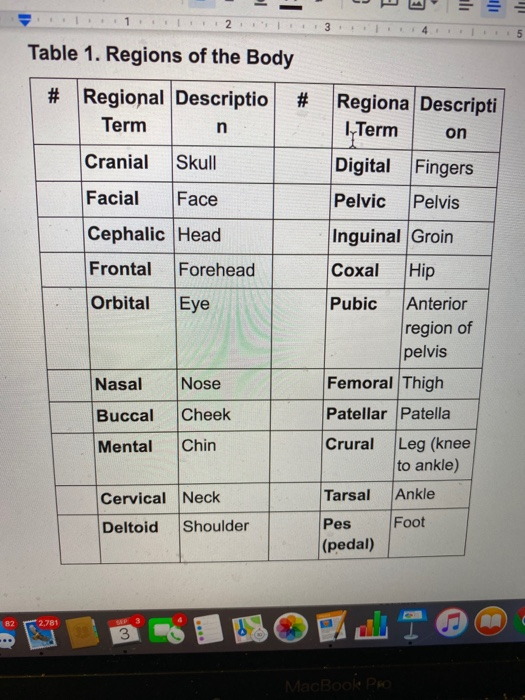 LANGUAGE OF ANATOMY Regional Terms Anterior I hope | Chegg.com