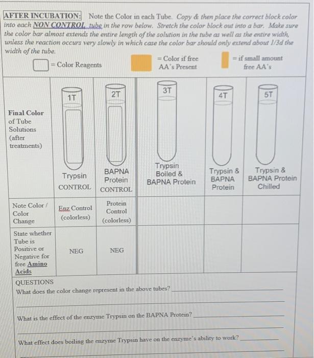 Solved DIGESTION PHYSIOLOGY LAB The following activities | Chegg.com