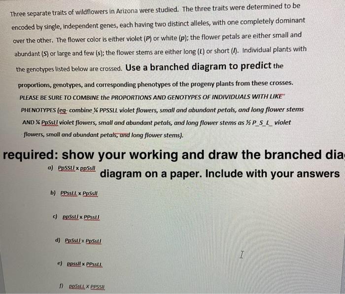 Solved required: show your working and draw the branched | Chegg.com