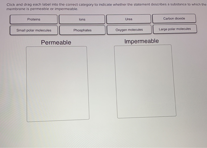 Solved Click and drag each label into the correct category | Chegg.com
