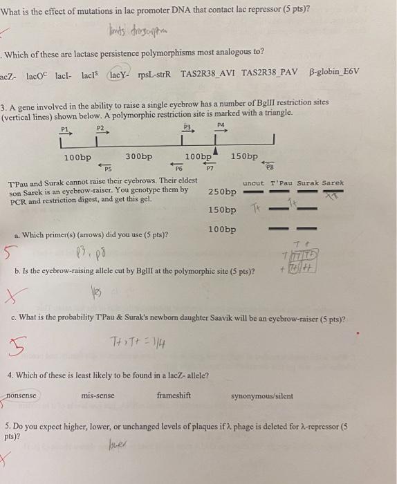 Solved Lab Session (circte): Fisher Pt haw a stero-loop | Chegg.com