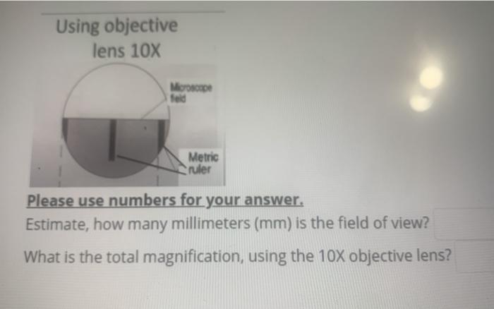 Solved Using objective lens 10X сового feld Metric ruler | Chegg.com