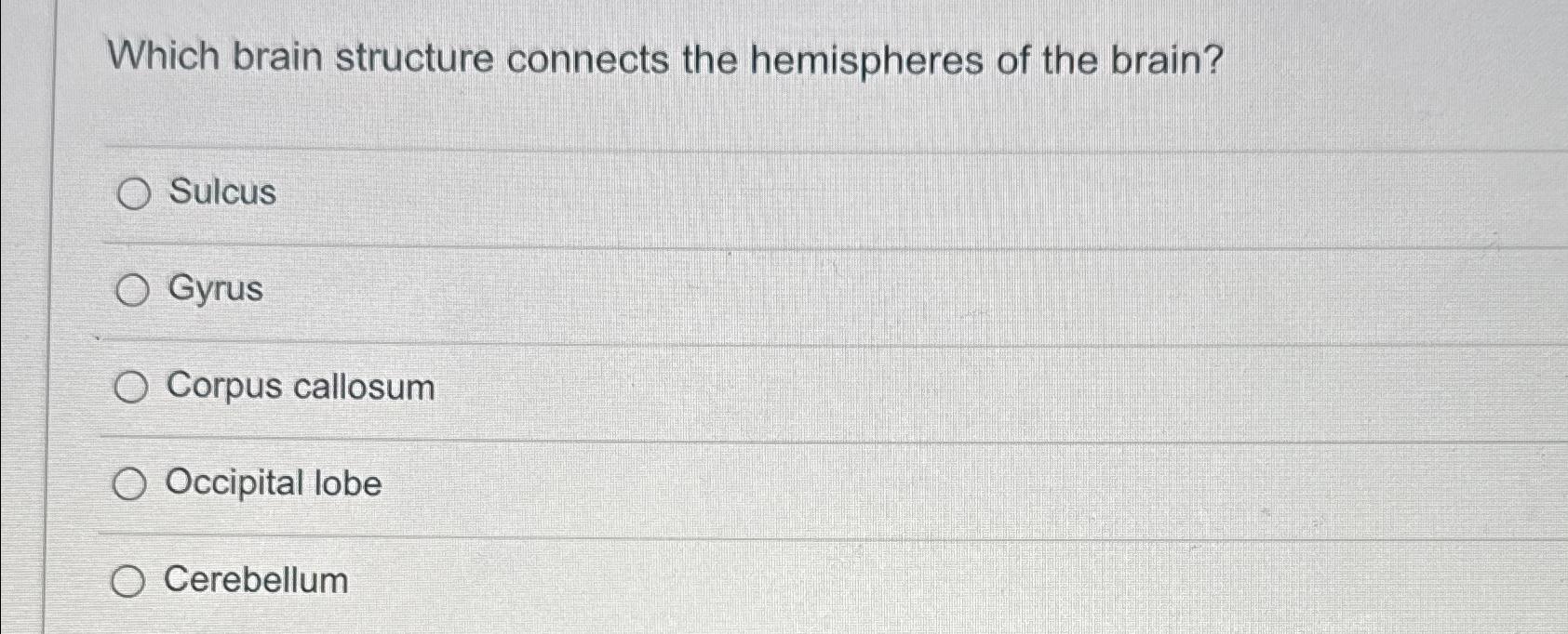 Solved Which brain structure connects the hemispheres of the | Chegg.com