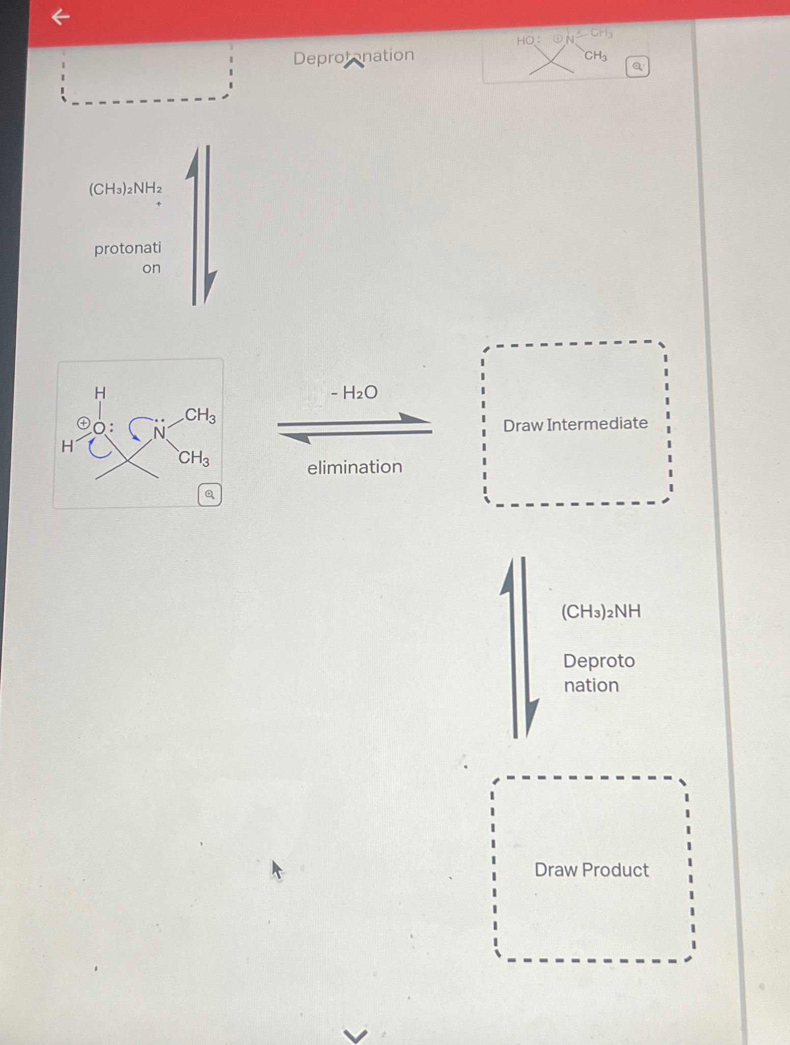 Solved Deprołanationa.Draw Intermediate | Chegg.com