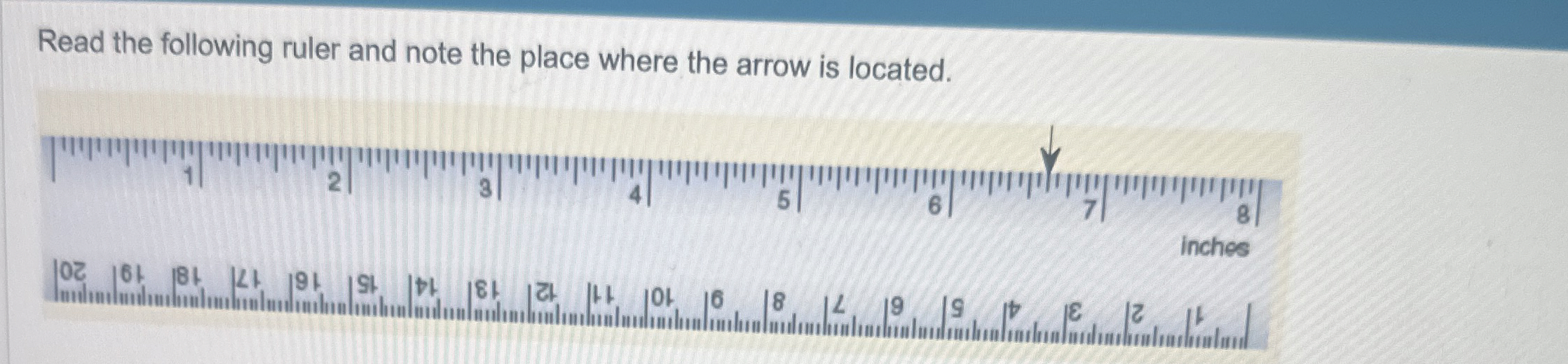 Solved Read the following ruler and note the place where the | Chegg.com