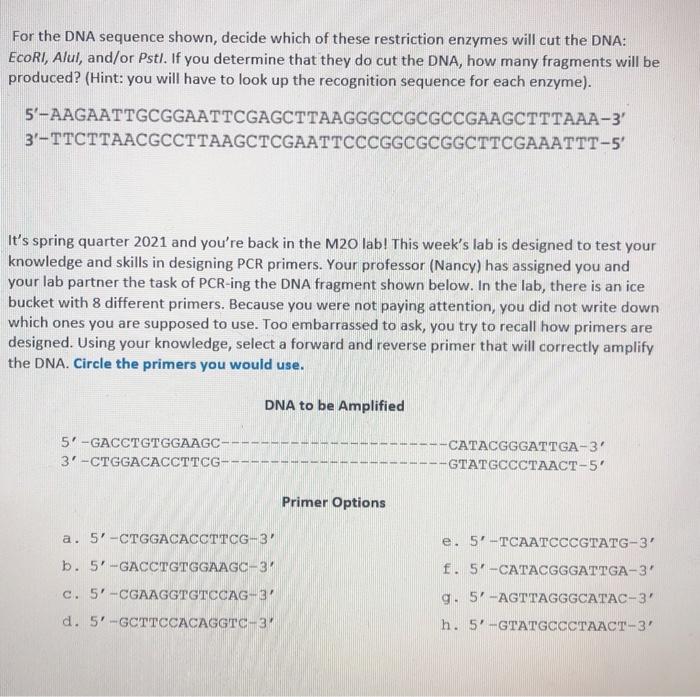 Solved For the DNA sequence shown, decide which of these | Chegg.com