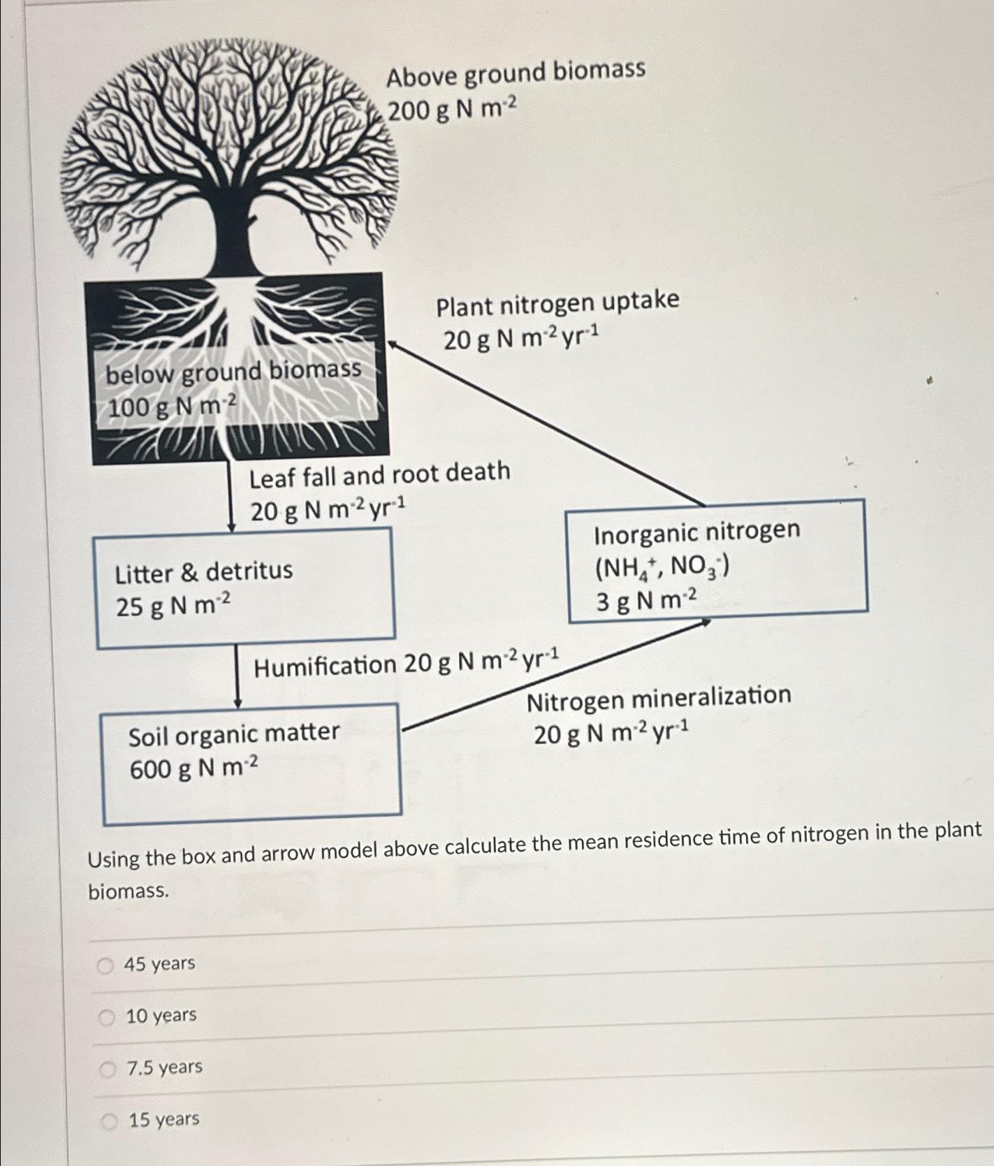 Solved Above ground biomassPlant nitrogen uptake | Chegg.com