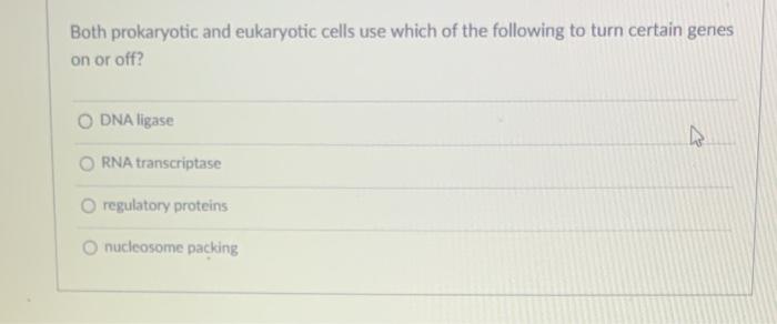 Solved Both prokaryotic and eukaryotic cells use which of | Chegg.com