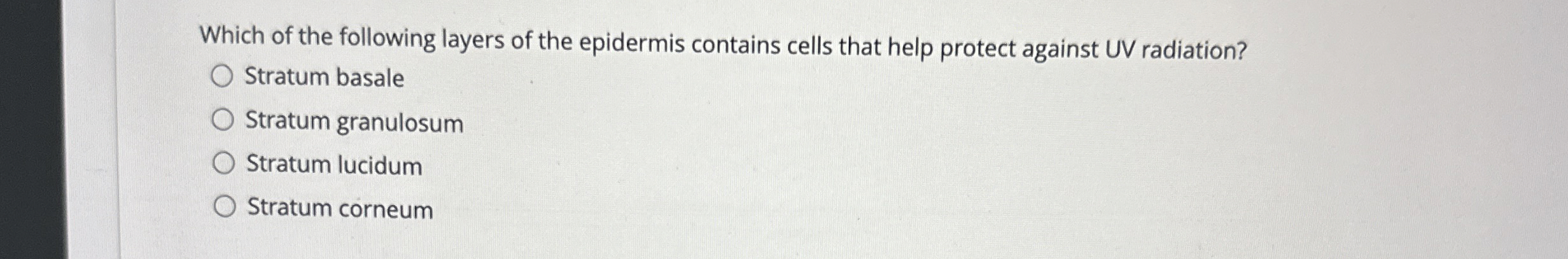 Solved Which of the following layers of the epidermis | Chegg.com