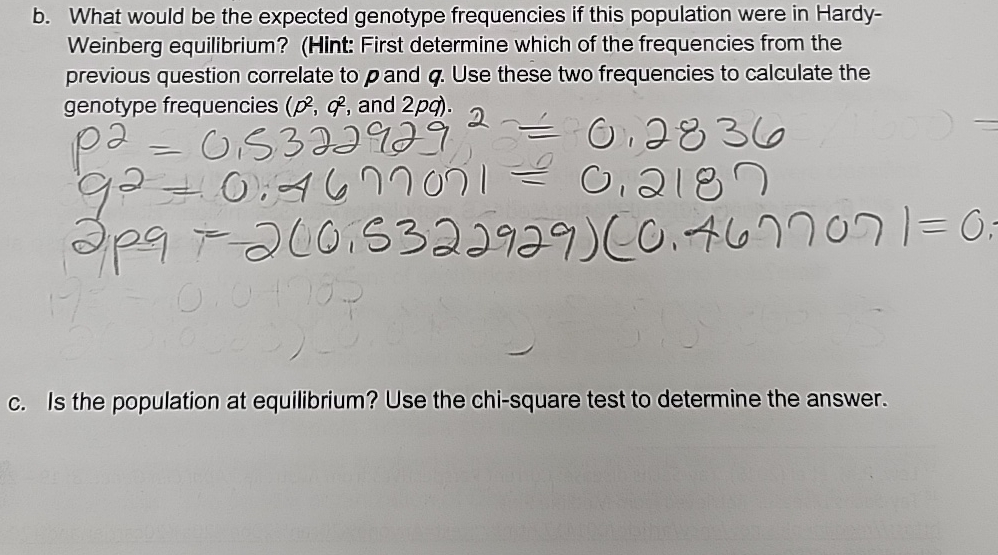Solved b. ﻿What would be the expected genotype frequencies | Chegg.com