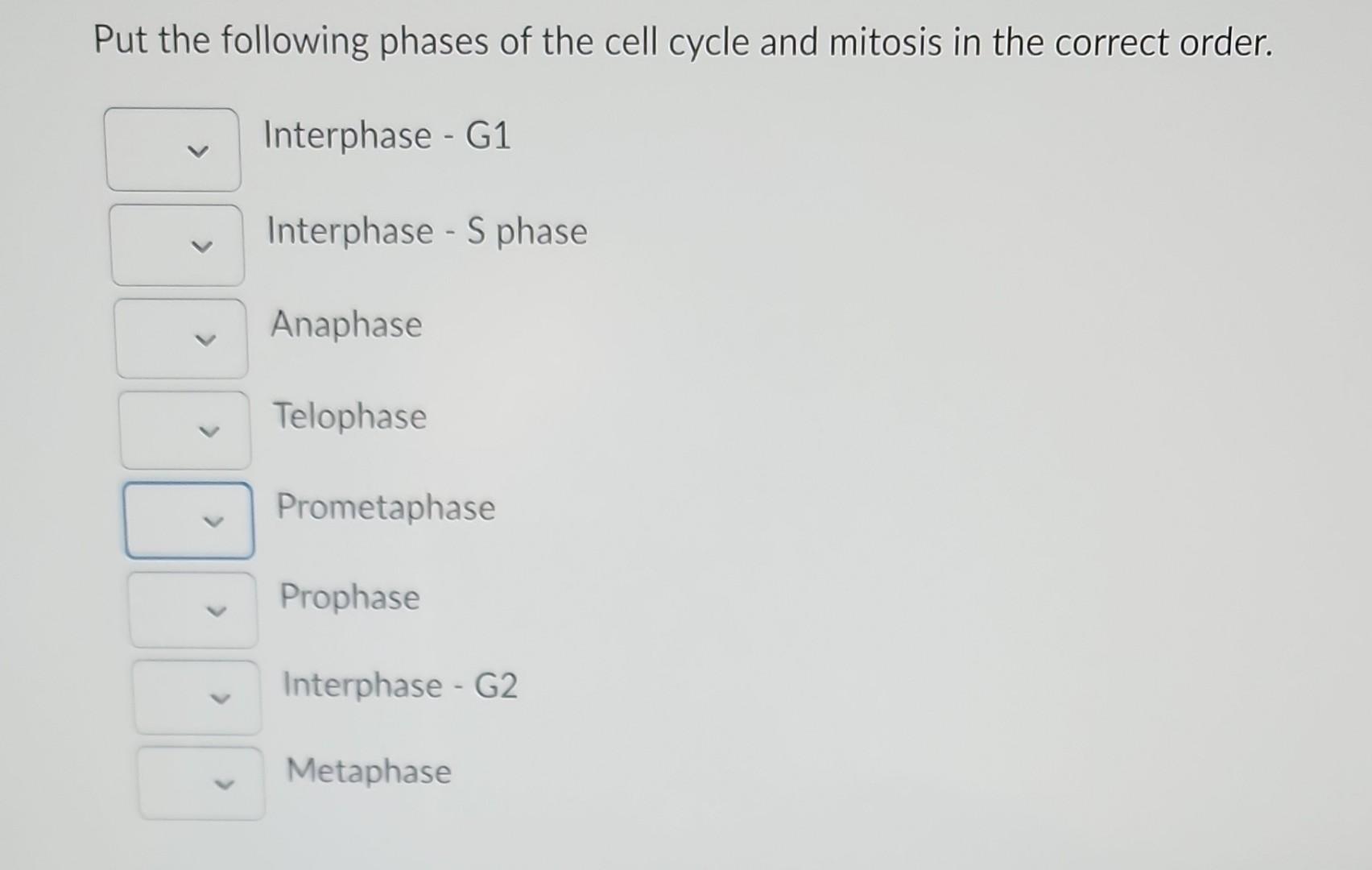 Solved Put the following phases of the cell cycle and | Chegg.com